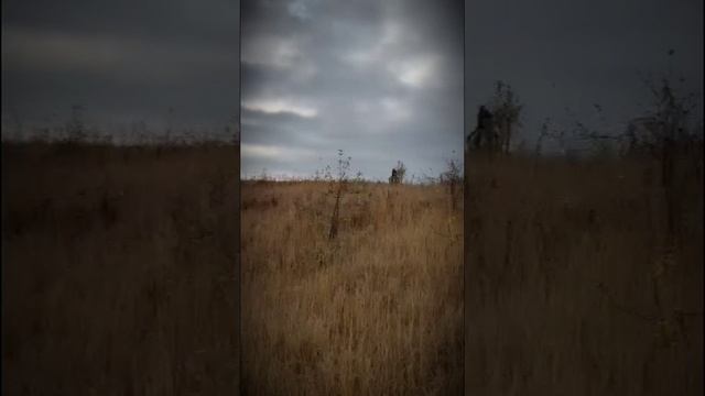 прогулка
