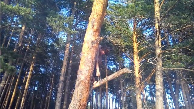 2017_08_Сысерть_сук