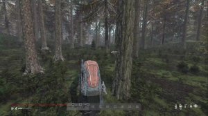 Вечерний стрим
