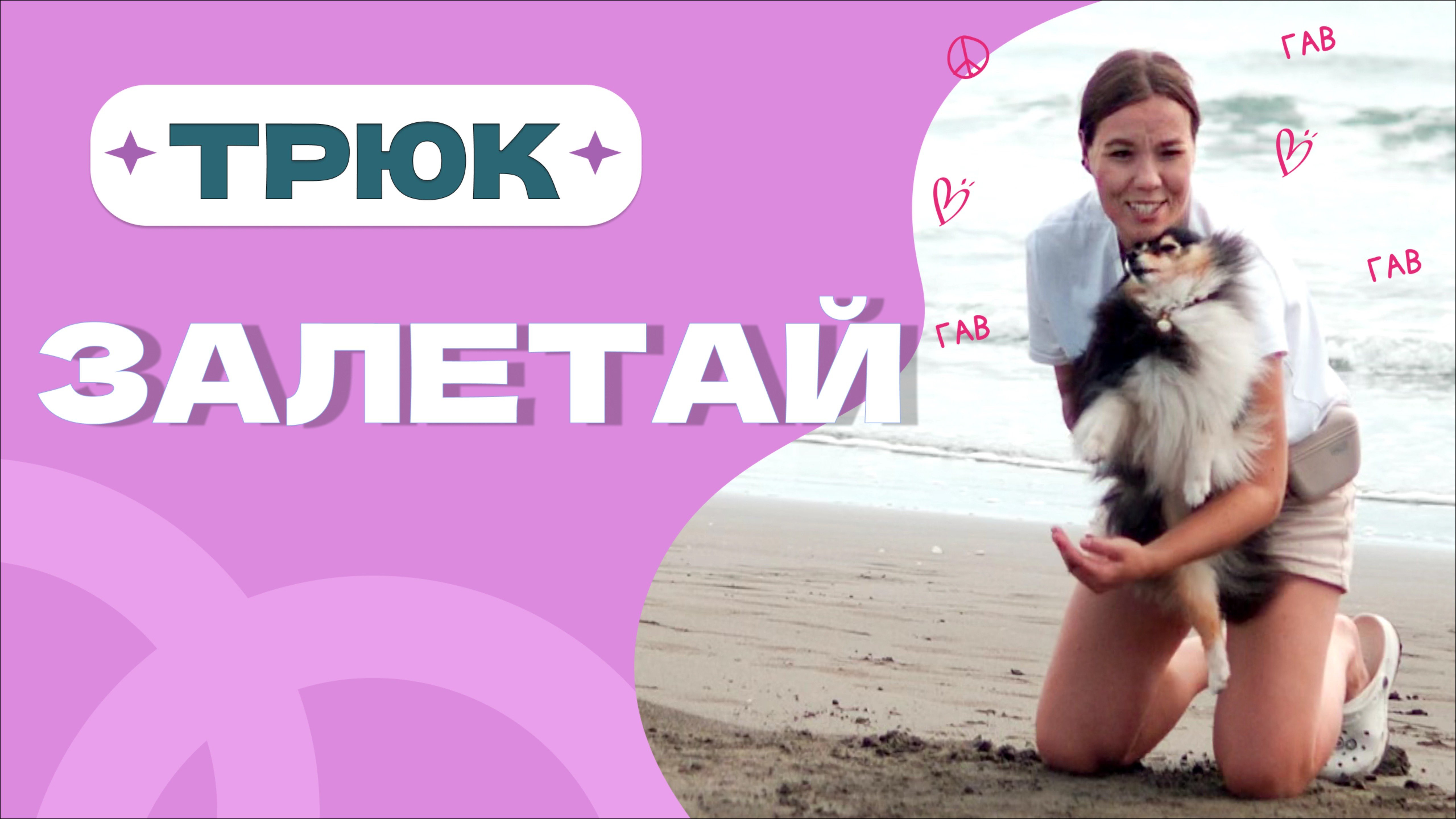 Классный и простой трюк Залетай, Собака кувырком залетает на руки