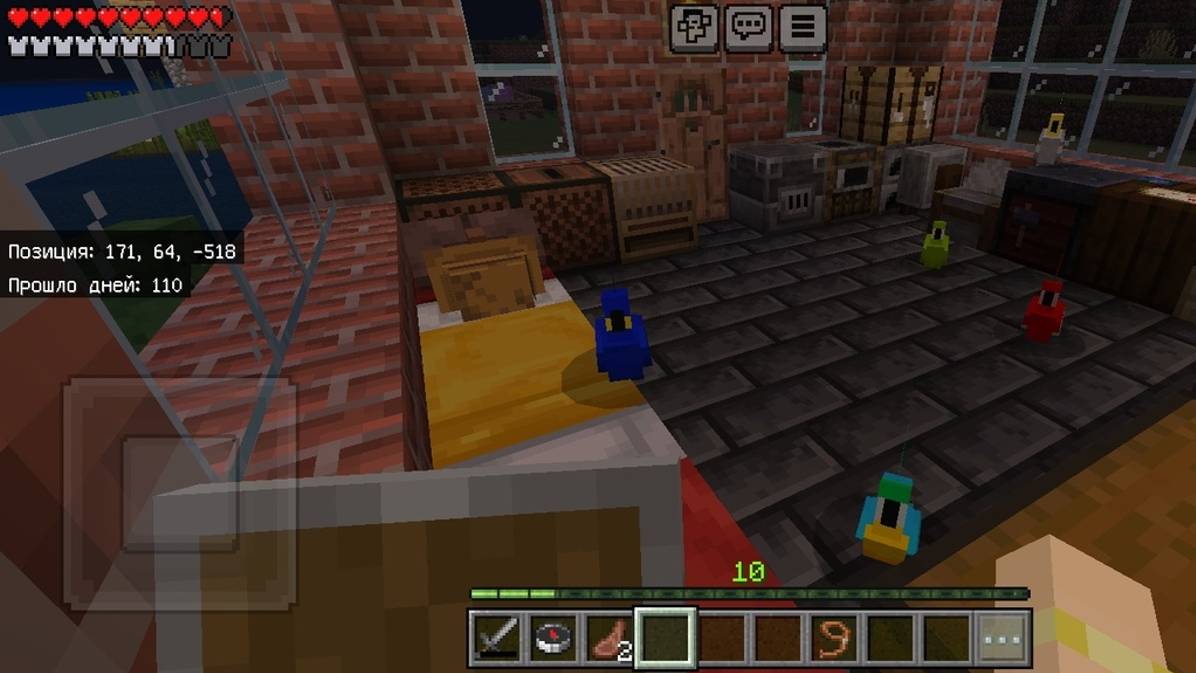Приручила попугая 🎲Minecraft - PE🎲