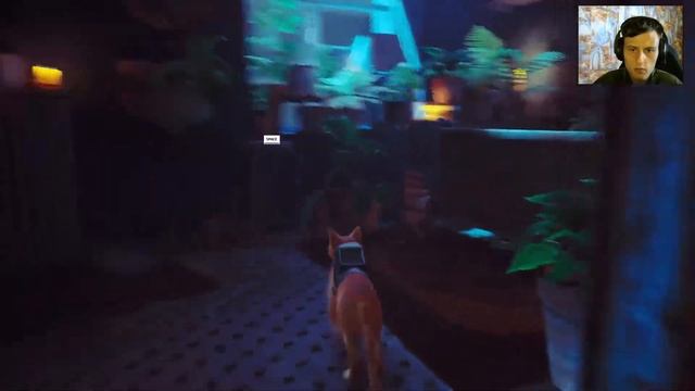 STRAY➤Лейтенант-Кот на супертусе