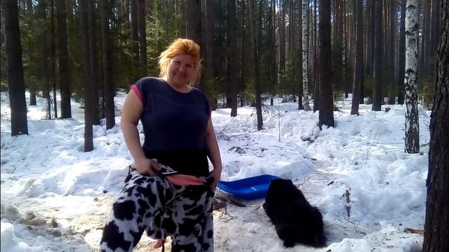 2019_03_31_Соколий