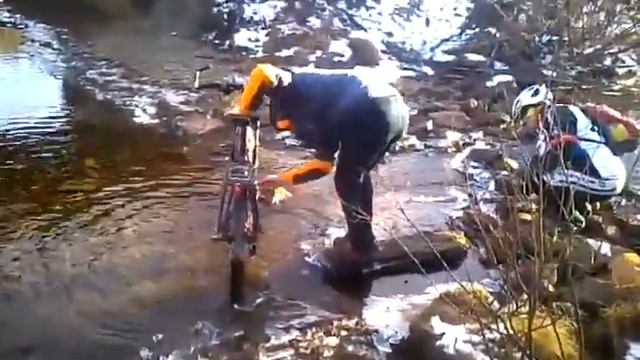 2013_11_24_Гребешки