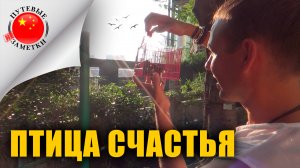 путевые НЕ заметки | Китай: Птица счастья