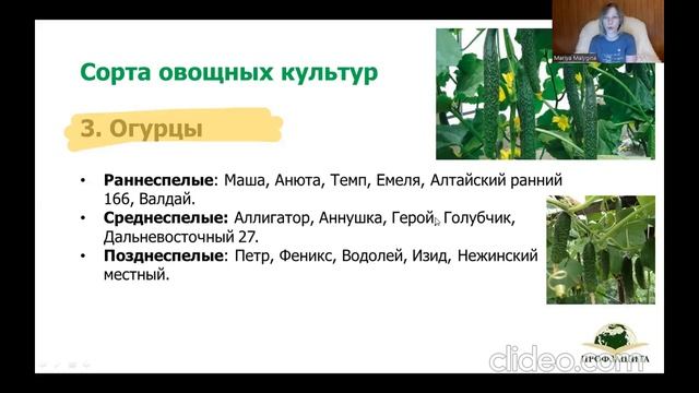 Тема 4