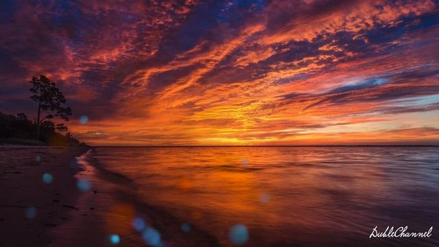 CHILLOUT || Chill Music — Playlist for Work and Study