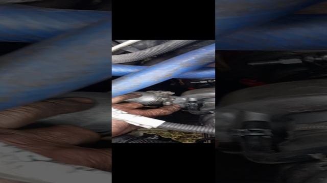 1000028875.mp4