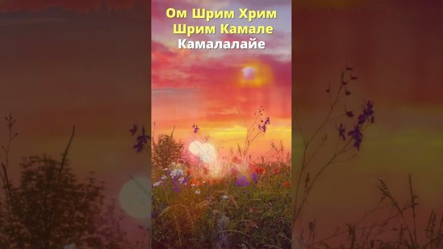 ⦿ УДАЧА И УСПЕХ ВО ВСЕХ ДЕЛАХ ॐ Мантра Лакшми #Shorts