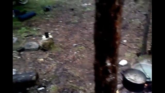 2015_05_24_Гамаюн