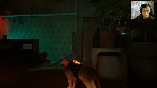 STRAY➤На побегушках у роботов