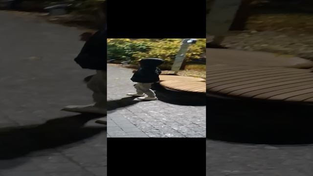Гуляем по ВДНХ