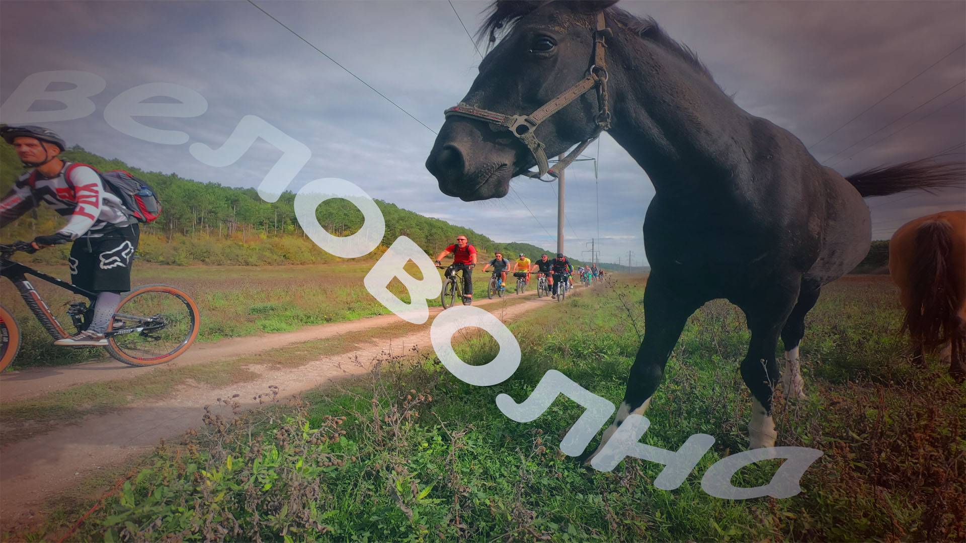 Веловолна 2024 осень