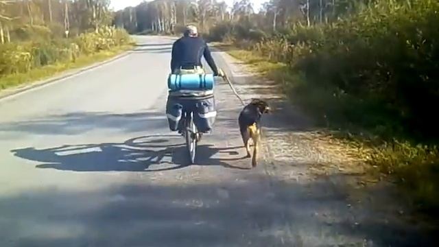 2013_09_21_Палкино_Велопес_Велопоход