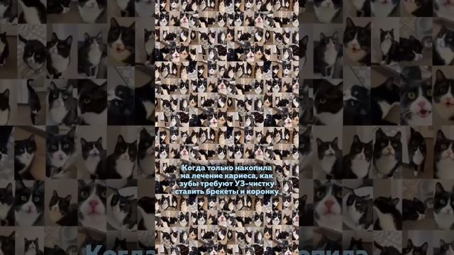 Лавина 🤪