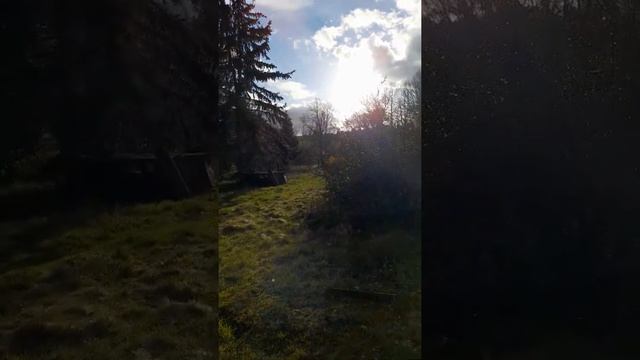 Деревянный дом на колесах высыхает после дождя на солнышке и парит...