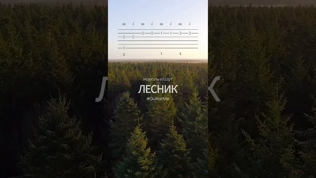 ЛЕСНИК Король и Шут на Гитаре. Ноты и Табы GuitarMe School | Александр Чуйко