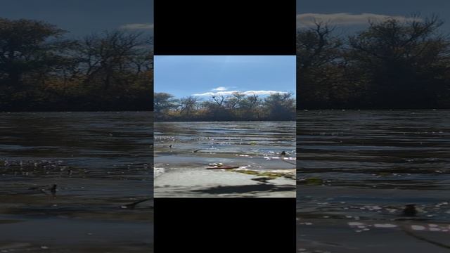 volga_utrom.mp4