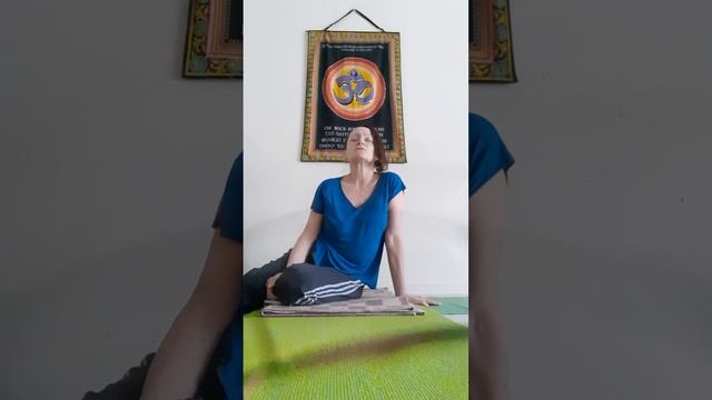 Шавасана. Йога действия - 18 #иринагородецкая #открытая_йога