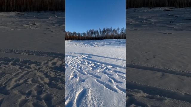 Бурейское водохранилище. #спортивнаярыбалка #рыбалка #рыбалкасольда #щуказимой