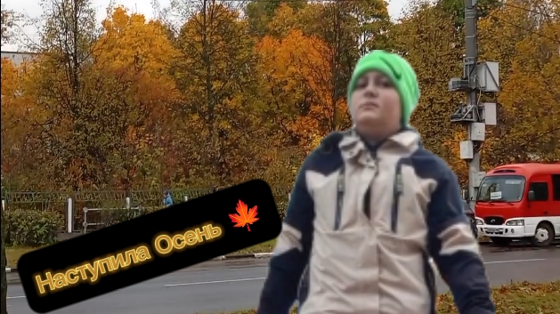 Наступила осень