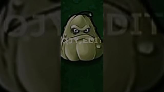 Pvz
