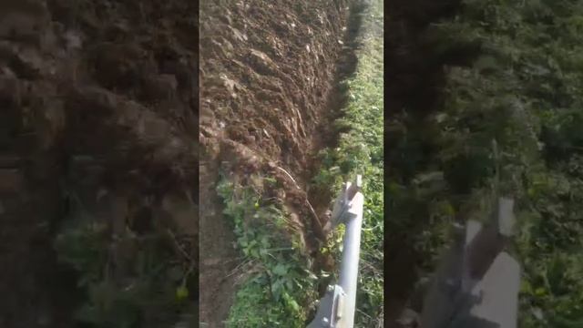 КМЗ-012 идеальеая пахота курганским плугом.
