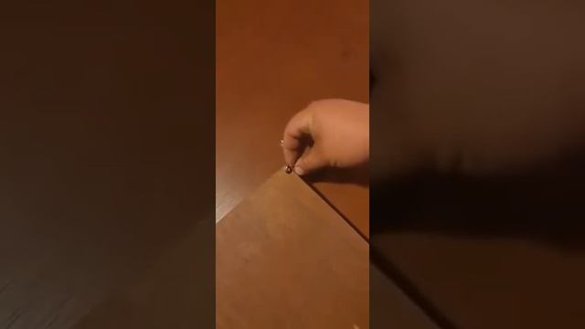 Сделал отверстие в двери для кота