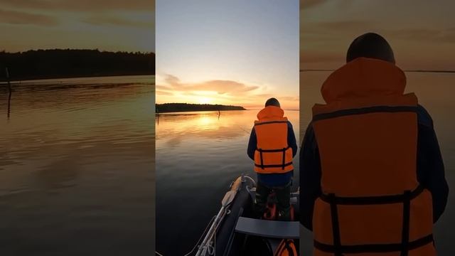 #рыбалка #спиннинг #nature #природа #щука #pike #fishing