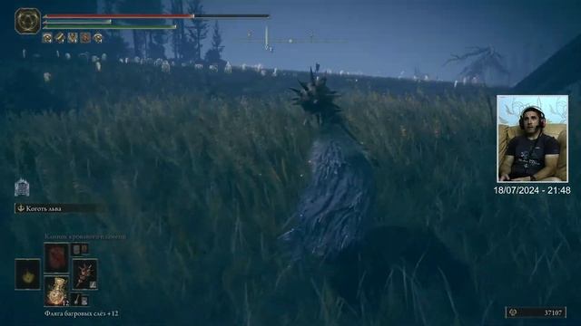 Elden Ring DLC: Shadow Of The Erdtree (часть 7)