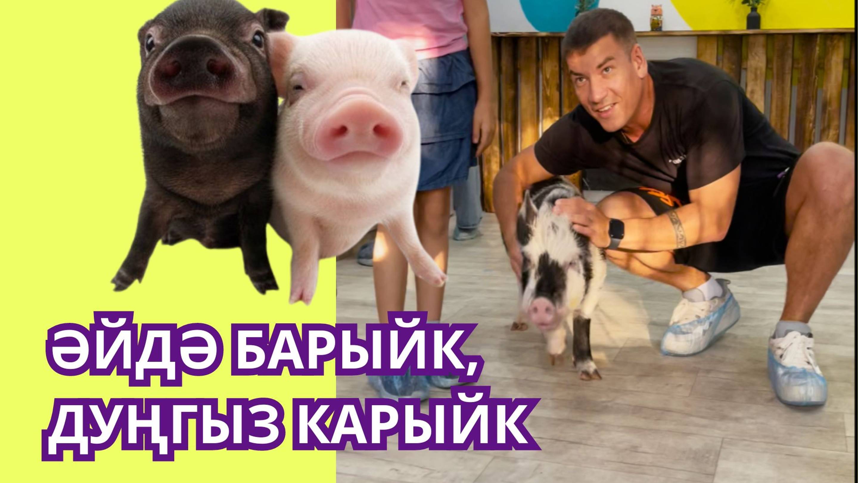 ДУҢГЫЗ кафесына барабызмы? моңлы МӘСКӘҮ #2 #татарыпоймут #татарстан #татарлар #казань #татарин