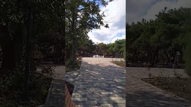 Природа Краснодарского края15-10-2024