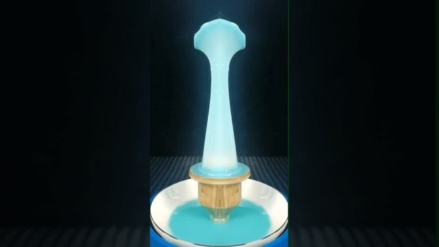 1000012595.mp4