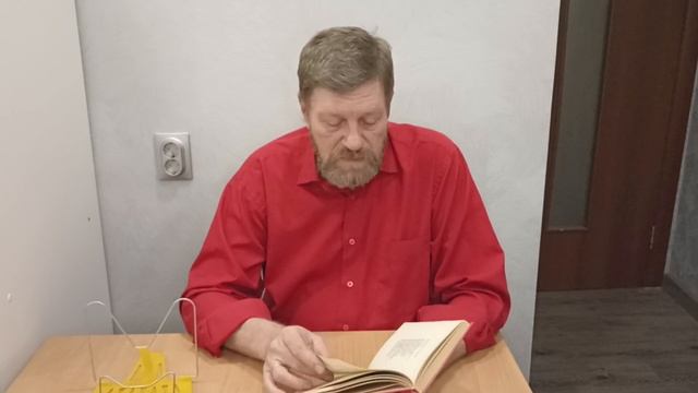 Олег Синицын, обзор издания МЕЧЕЛ-95