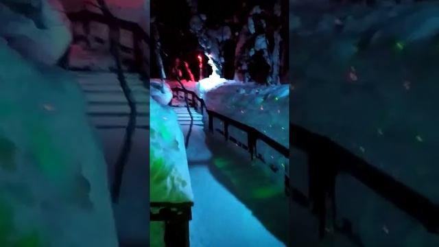 Таинственный лес, Кировск 2020