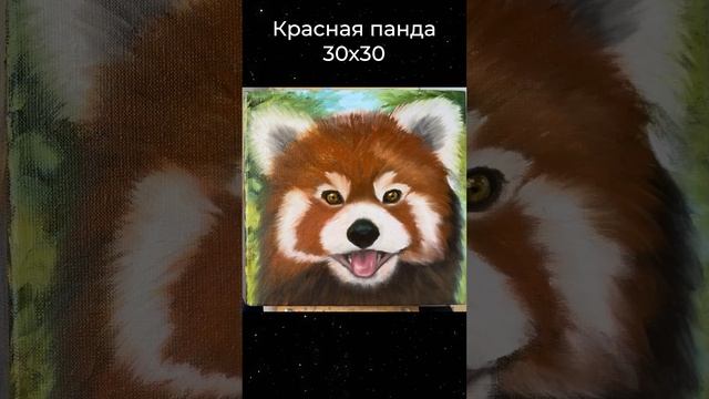 Маленькая красная панда, картина маслом #shorts #живопись #рисование #картина #nammyart