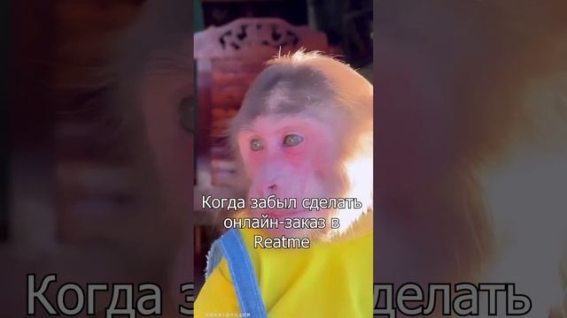 Когда забыл заказать обед в Reatme