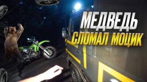 Медведь сломал Моцик