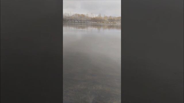 поисковый магнит redmag 800