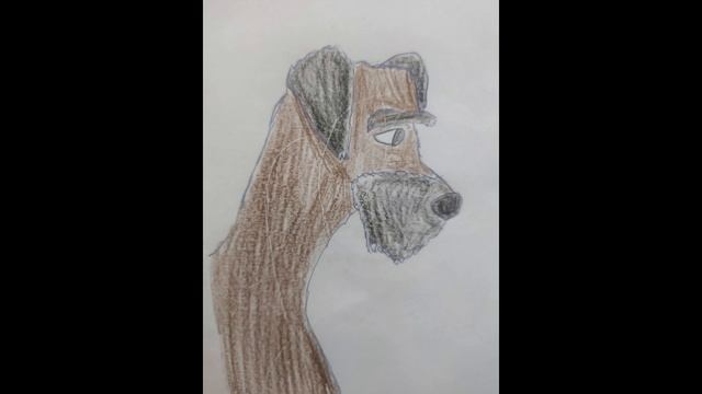 Лисенок Проект Аниты