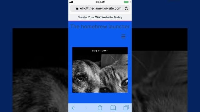 The Homebrew Launcher For IOS: PinPoll #HOMEBREW #WEBBASED #IOS