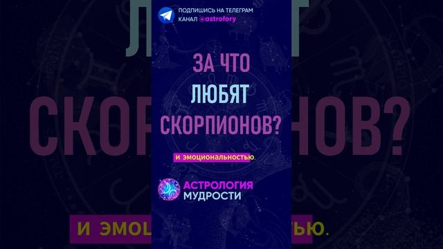 За что любят знак зодиака Скорпион? #гороскоп