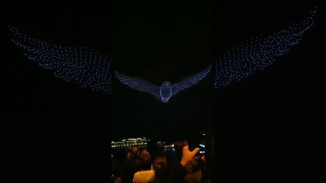 это всё дроны