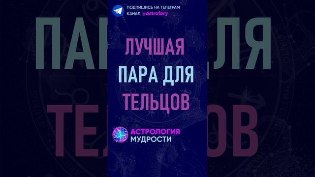 Лучшая пара для  знака зодиака Телец.   #гороскоп  #психология