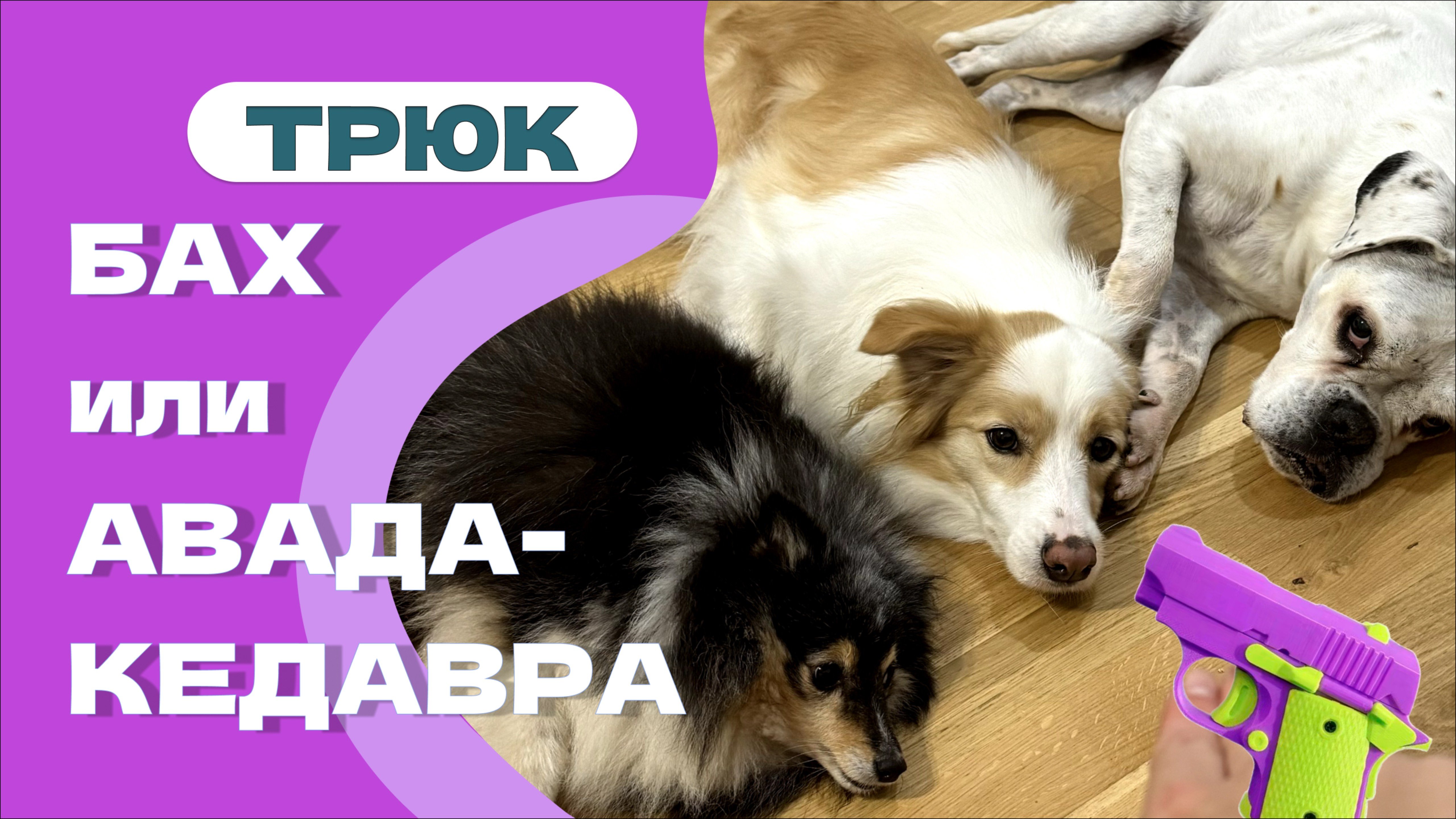 трюк УМРИ, команда БАХ, трюк АВАДАКЕДАВРА