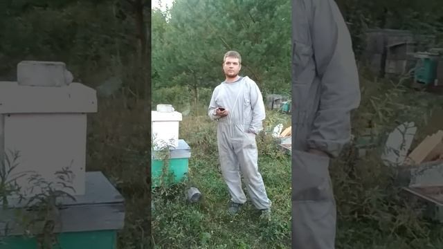 Отзыв Дмитрия Скришевского