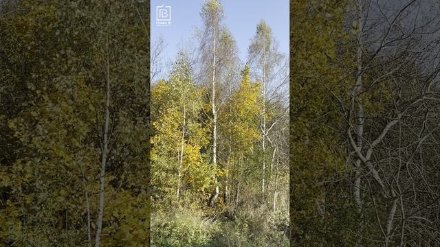 Мечтаете о собственном доме?!🔥