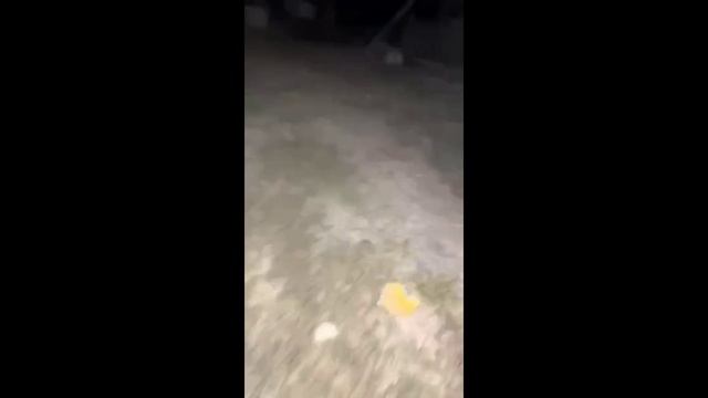 Что случилось с этой женщиной из Индии ?