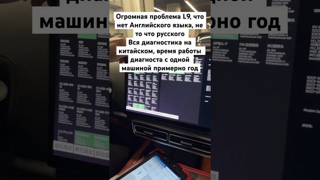 Диагностика Li L9. Все на китайском…