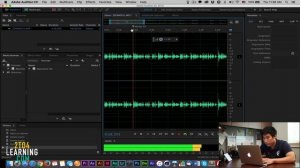 Adobe Audition for Journalists: Single Track Editing - 2 to 4 Learning!